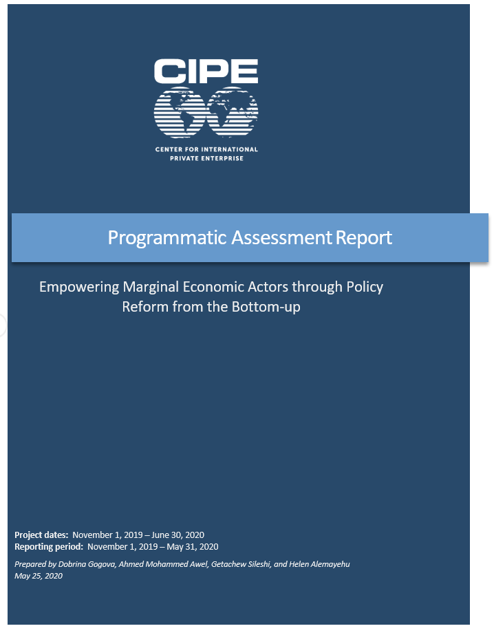 Programmatic Assessment Report: Empowering Marginal Economic Actors ...