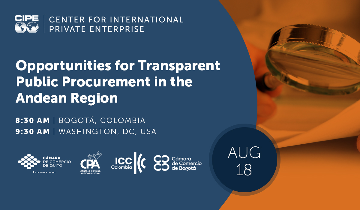 Opportunities for Transparent Public Procurement in the Andean Region ...