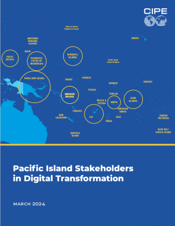 Pacific Island Stakeholders in Digital Transformation - Center for ...