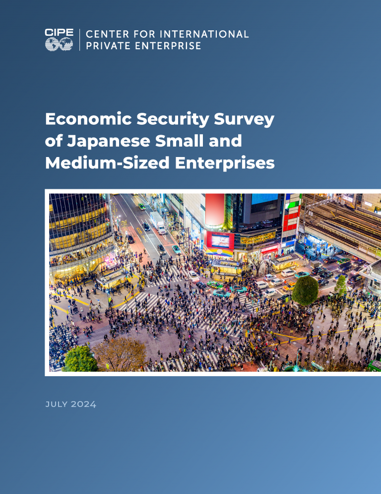Economic Security Survey of Japanese Small and Medium-Sized Enterprises ...