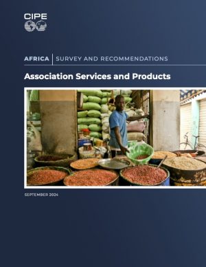 2024 Africa Association Survey Findings - Center for International ...