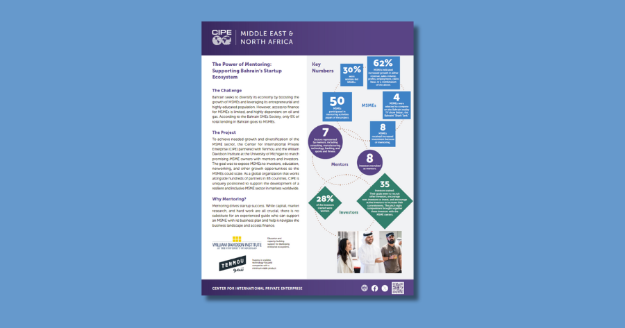 The Power of Mentoring: Supporting Bahrain’s Startup Ecosystem - Center ...