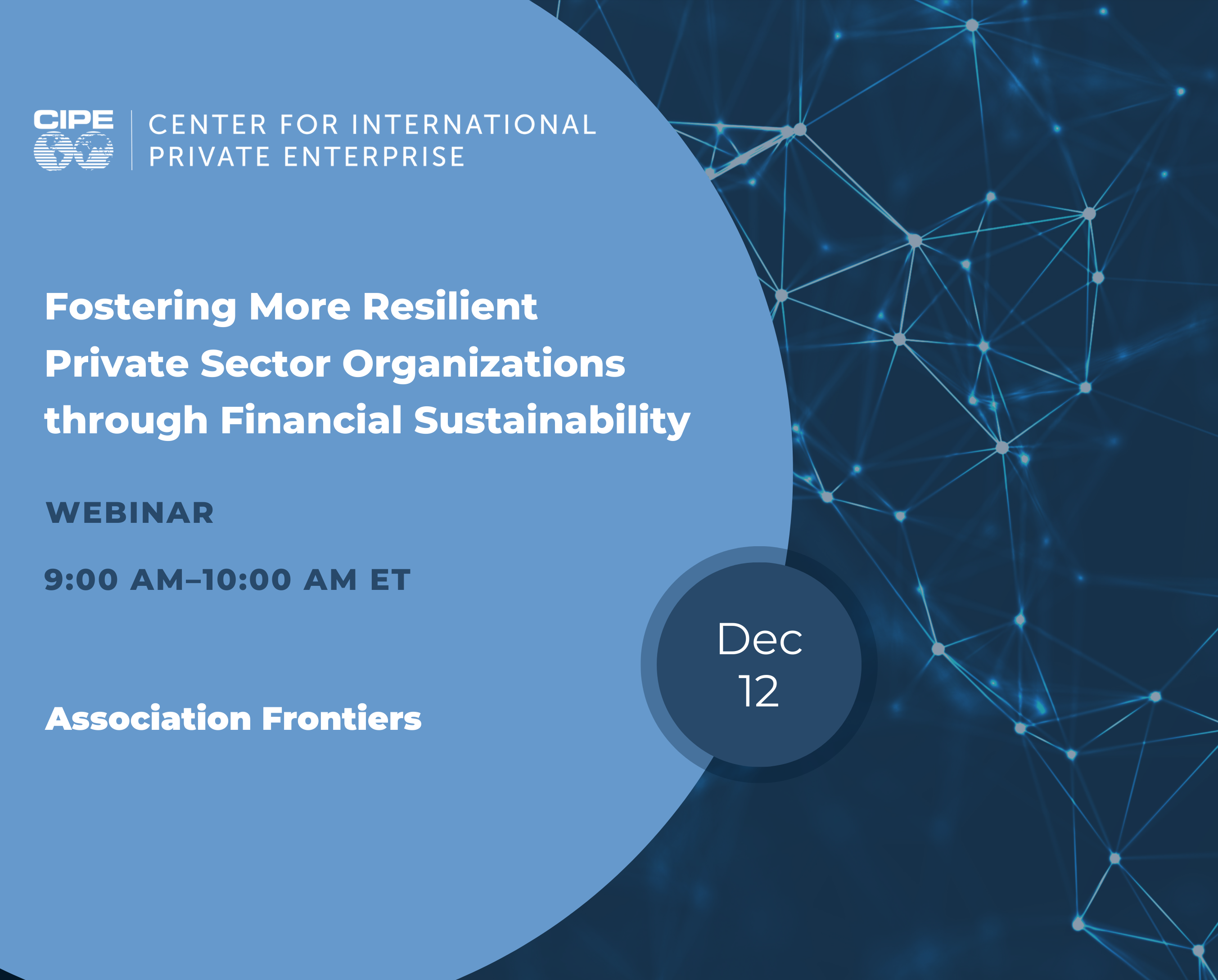 Fostering More Resilient Private Sector Organizations through Financial ...